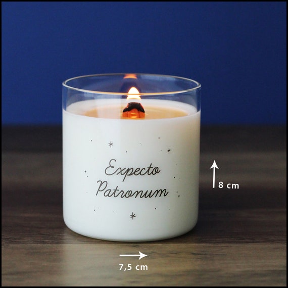 Candles Candles & Holders Harry Potter Double Sided Scented Candle etna ...