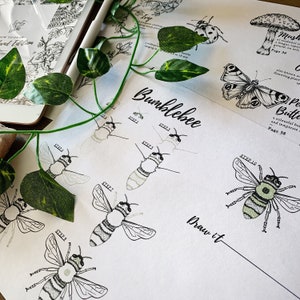 How to Draw Bugs & Insects - 4 Step by Step Easy Drawing Tutorials ...