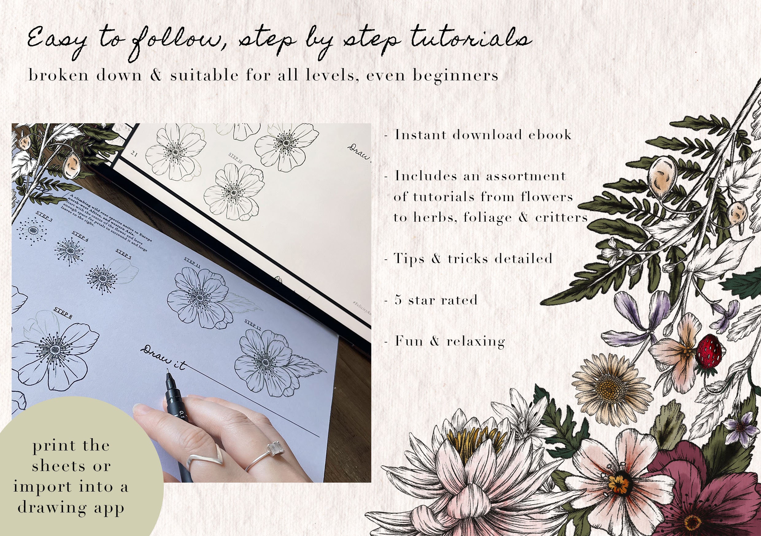 How to Draw Woodland Flowers and Critters Digital Ebook - 40 Step-by ...