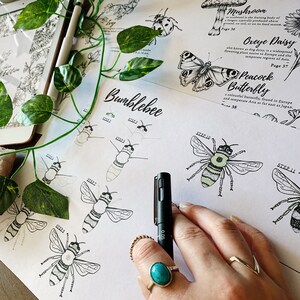 How to Draw Bugs & Insects - 4 Step by Step Easy Drawing Tutorials ...