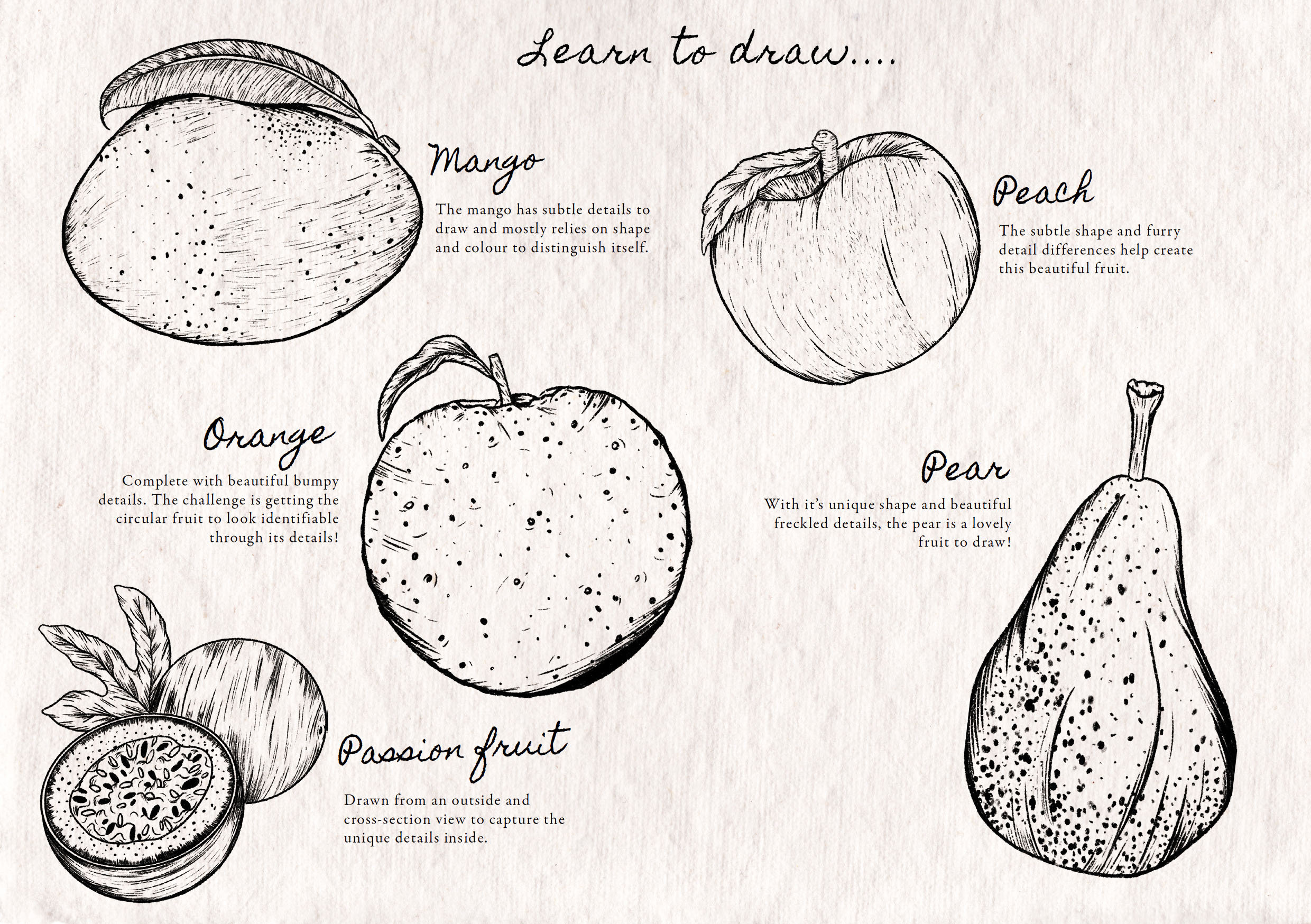 How to Draw Fruit - 15 Step by Step Easy Drawing Tutorials. Instant ...