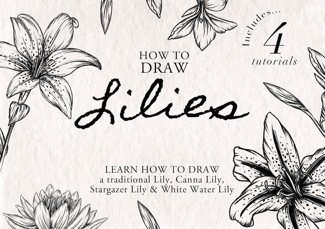 How to Draw Lilies: 4 Step-by-step Tutorials (digital Download) - Etsy