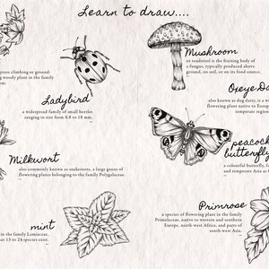 How to Draw Woodland Flowers, Insects and Foliage | 40 Step by Step ...