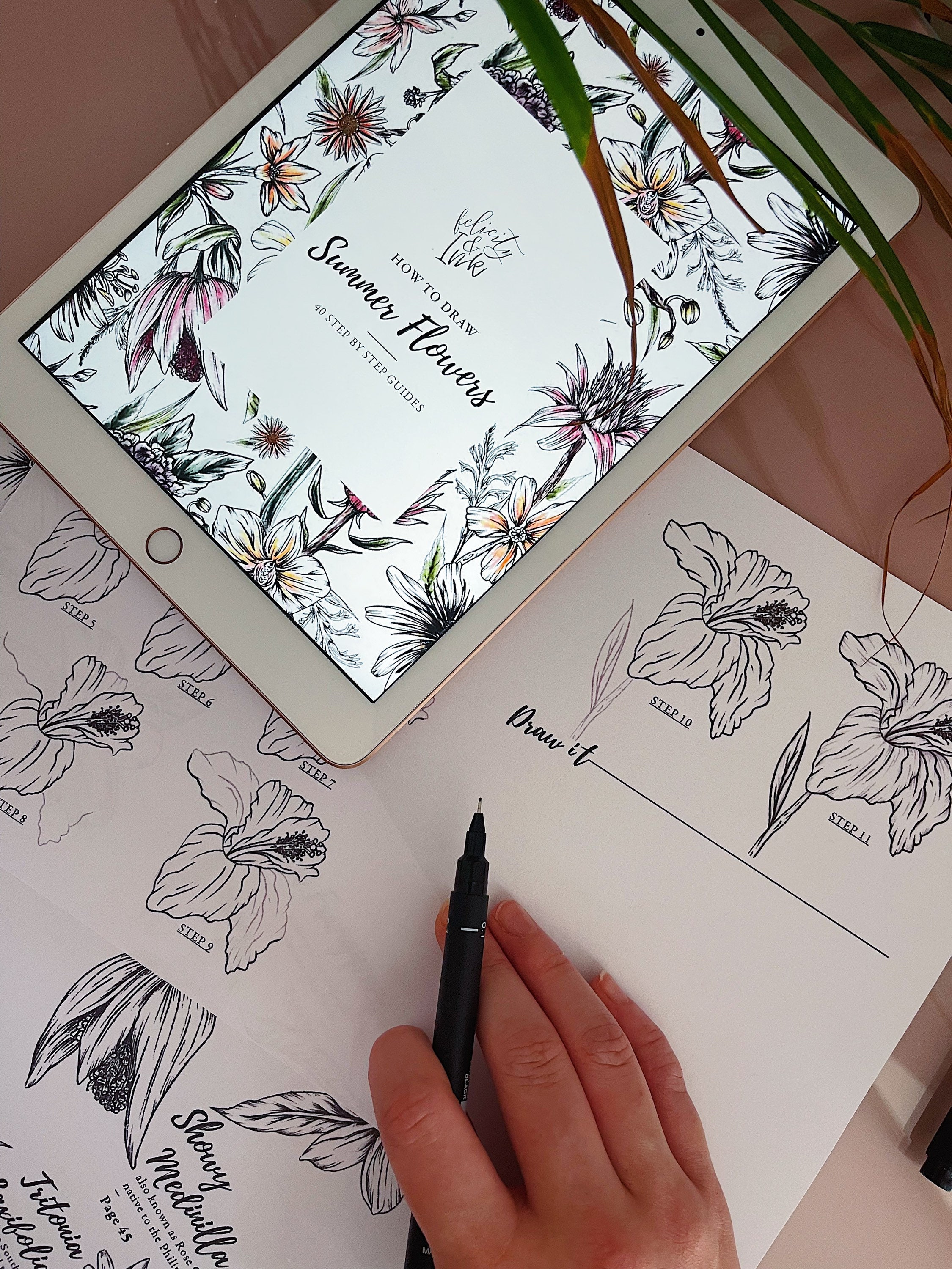 How to Draw Summer Flowers Learn How to Draw Flowers Step | Etsy UK