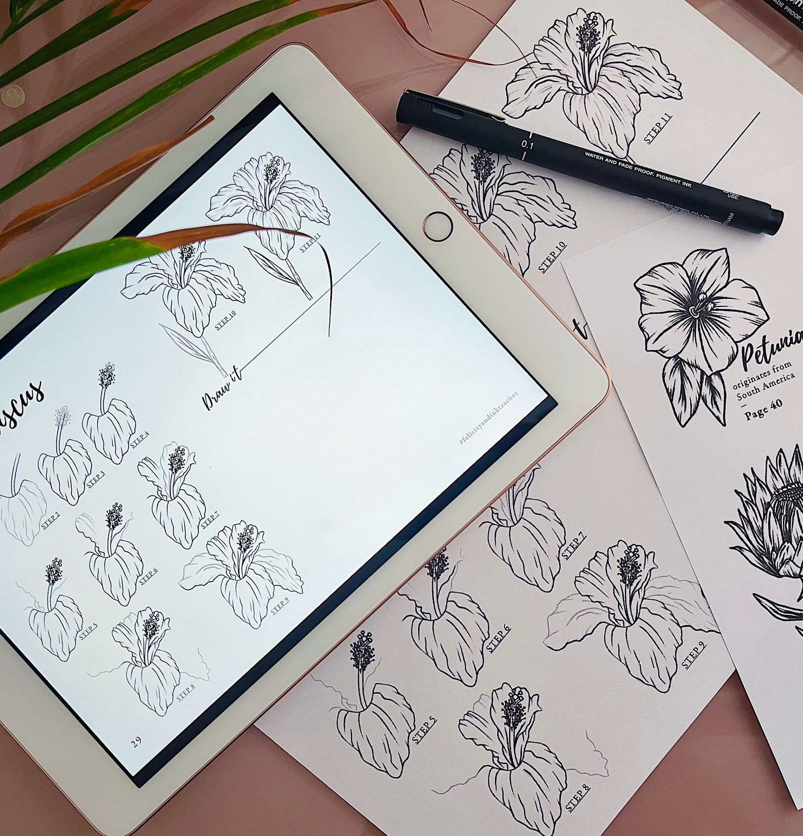 How to Draw Summer Flowers - Learn How to Draw Flowers - Step by Step ...