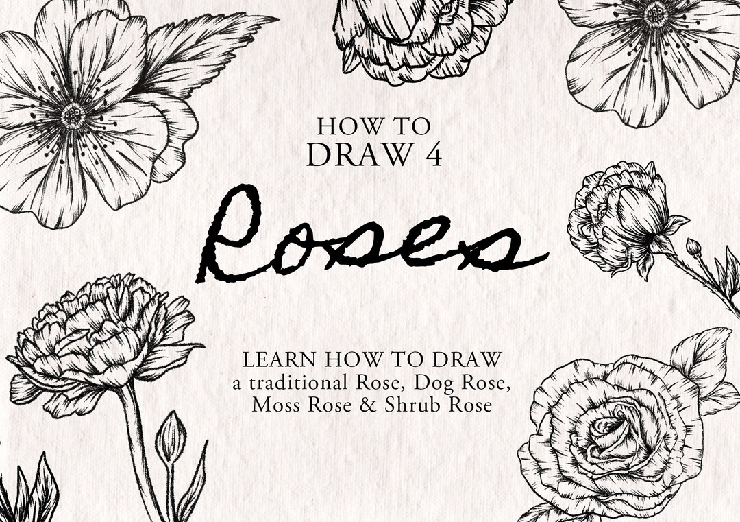 How to Draw Roses - 4 Easy Step-by-step Digital Worksheets - Etsy