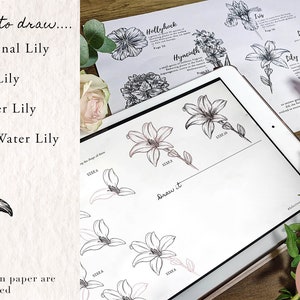 How to Draw Lilies: 4 Step-by-step Tutorials (digital Download) - Etsy