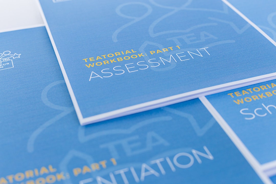 Assessment Workbook - Etsy