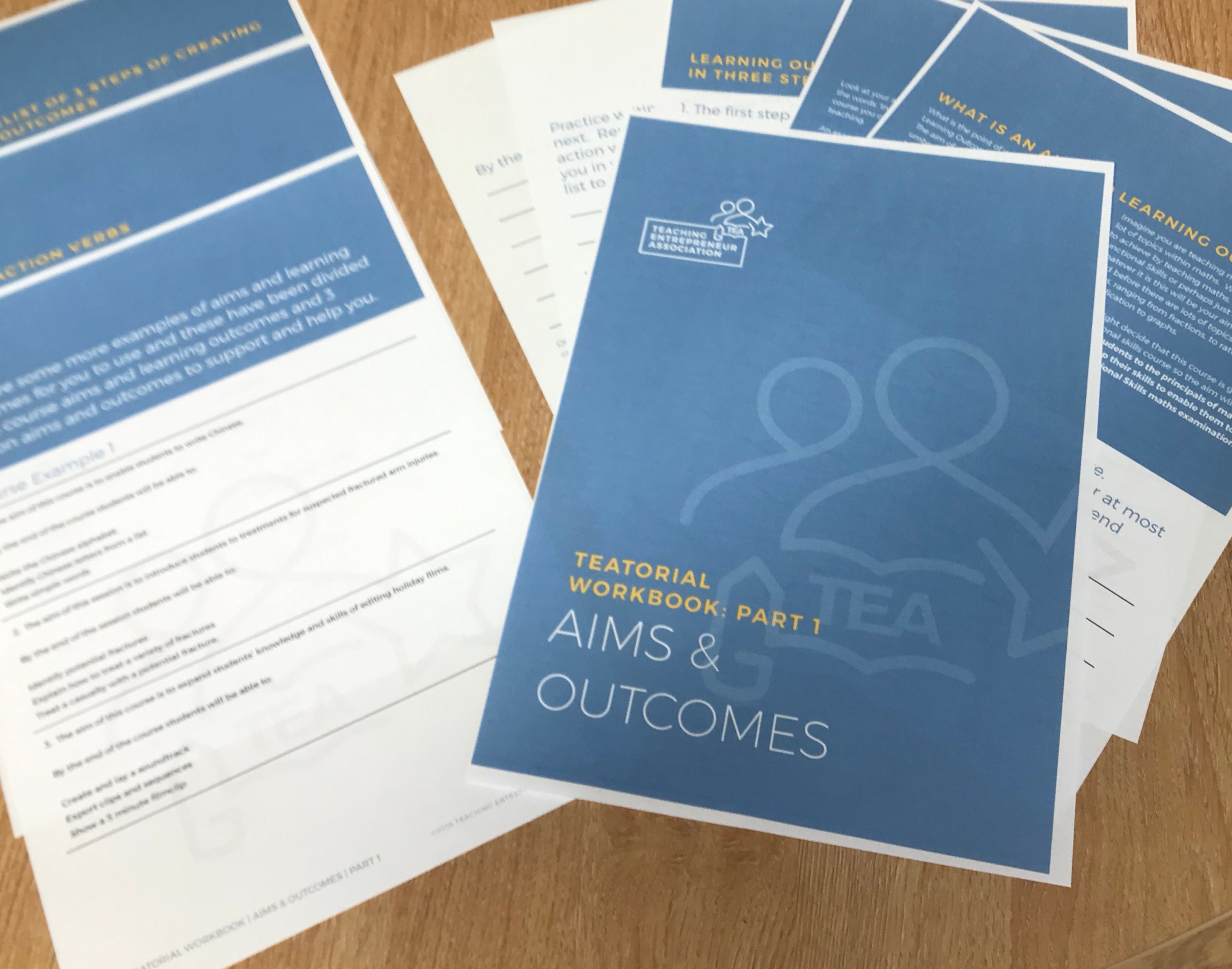 Aims and Outcomes Workbook and How to Guide - Etsy