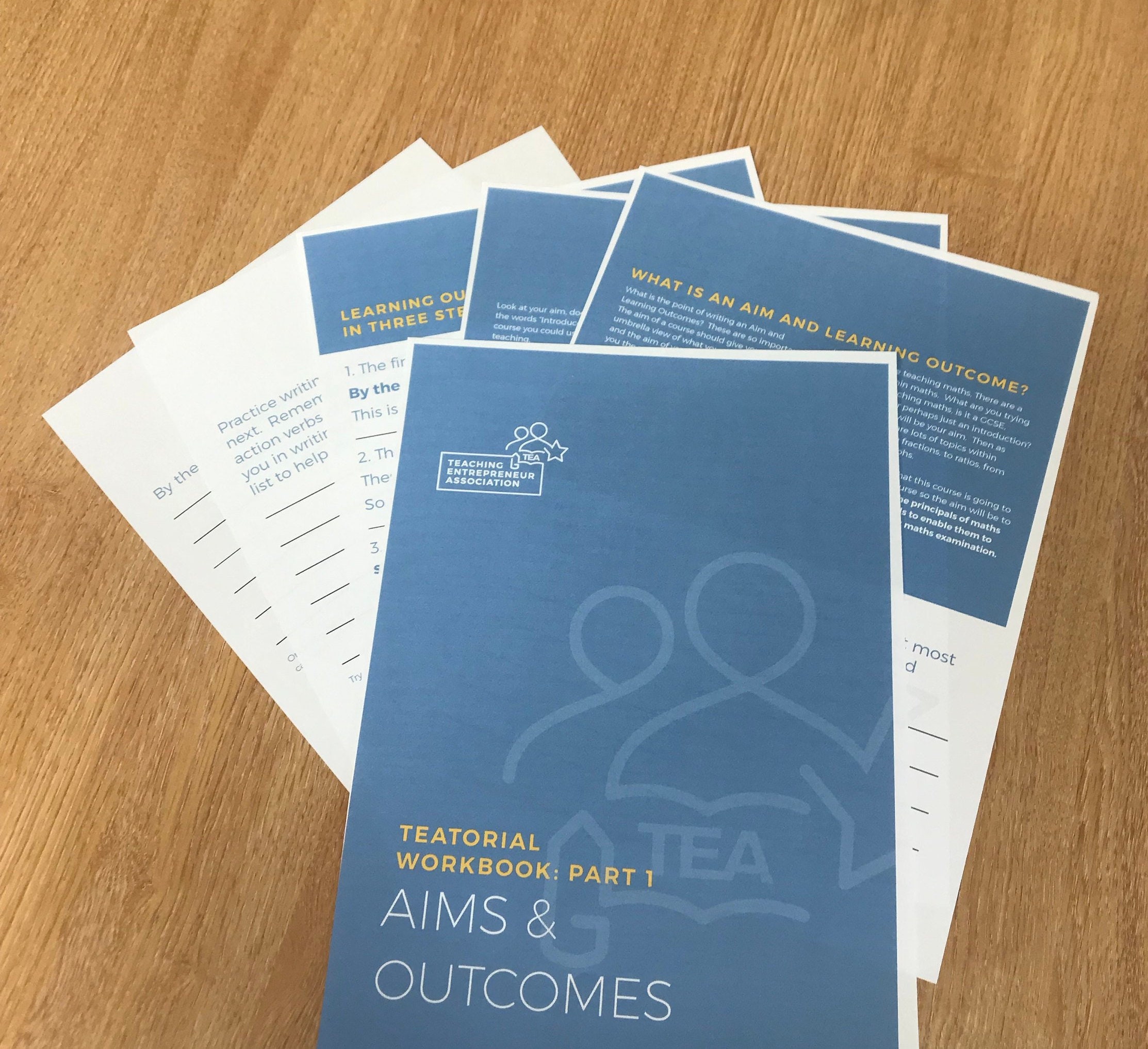 Aims and Outcomes Workbook and How to Guide - Etsy