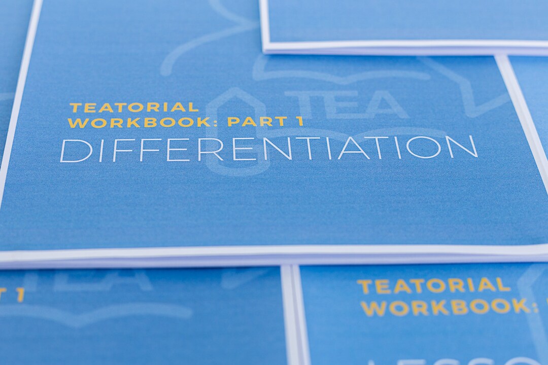 Differentiation for Beginners Workbook - Etsy