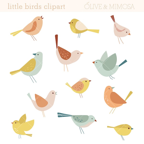 Clip Art Birds - Etsy