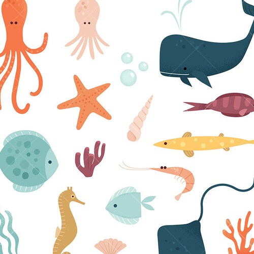 Sea Animals Clip Art Images VOL 1 Sea Life Illustrations - Etsy