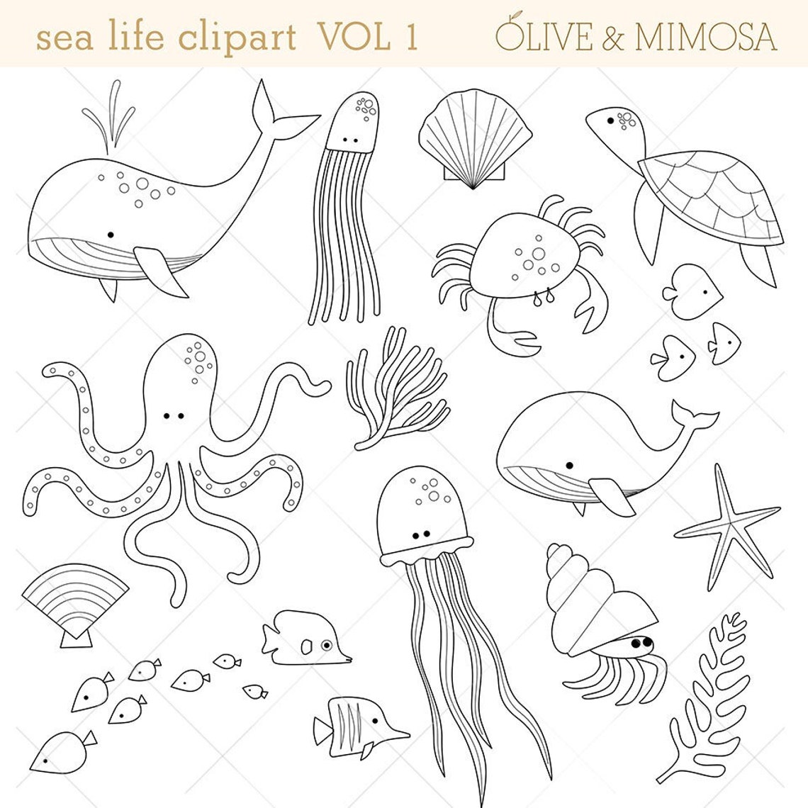 Sea Animals Clip Art Images VOL 1 Black & White Outline, Sea Life ...