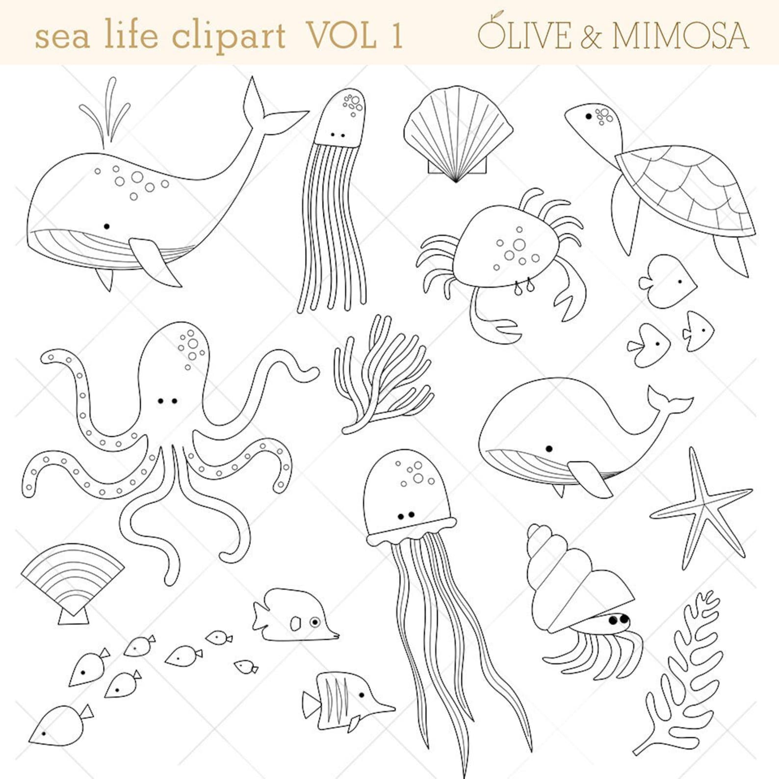 Sea Animals Clip Art Images VOL 1 Black & White Outline, Sea Life ...
