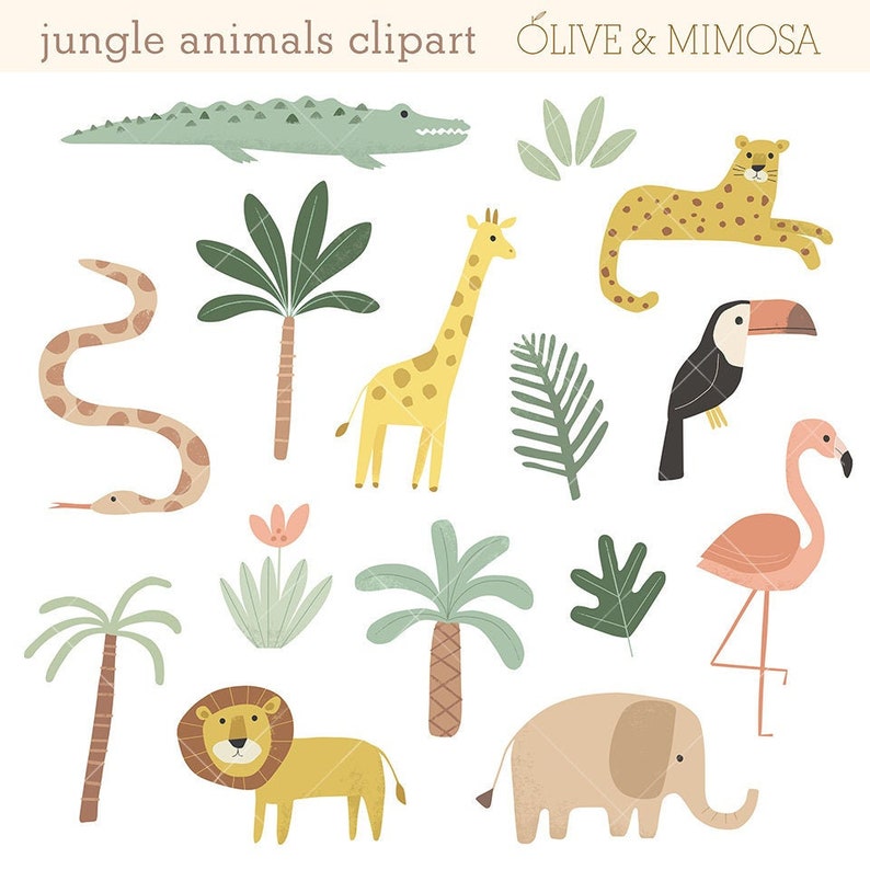 Jungle Animals Clip Art Images, Safari Animals Illustrations, Tropical ...