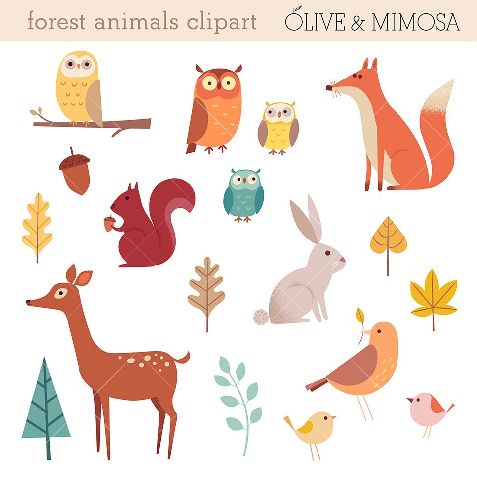 Forest Animals Clip Art Images , Woodland Animals Digital Illustrations ...