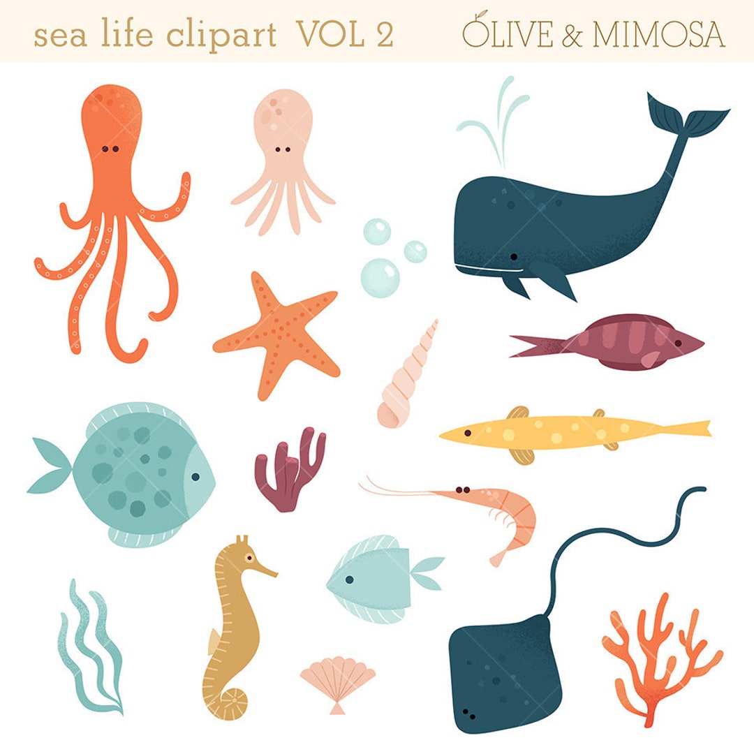 Sea Animals Clip Art Images VOL 2 Sea Life Illustrations - Etsy