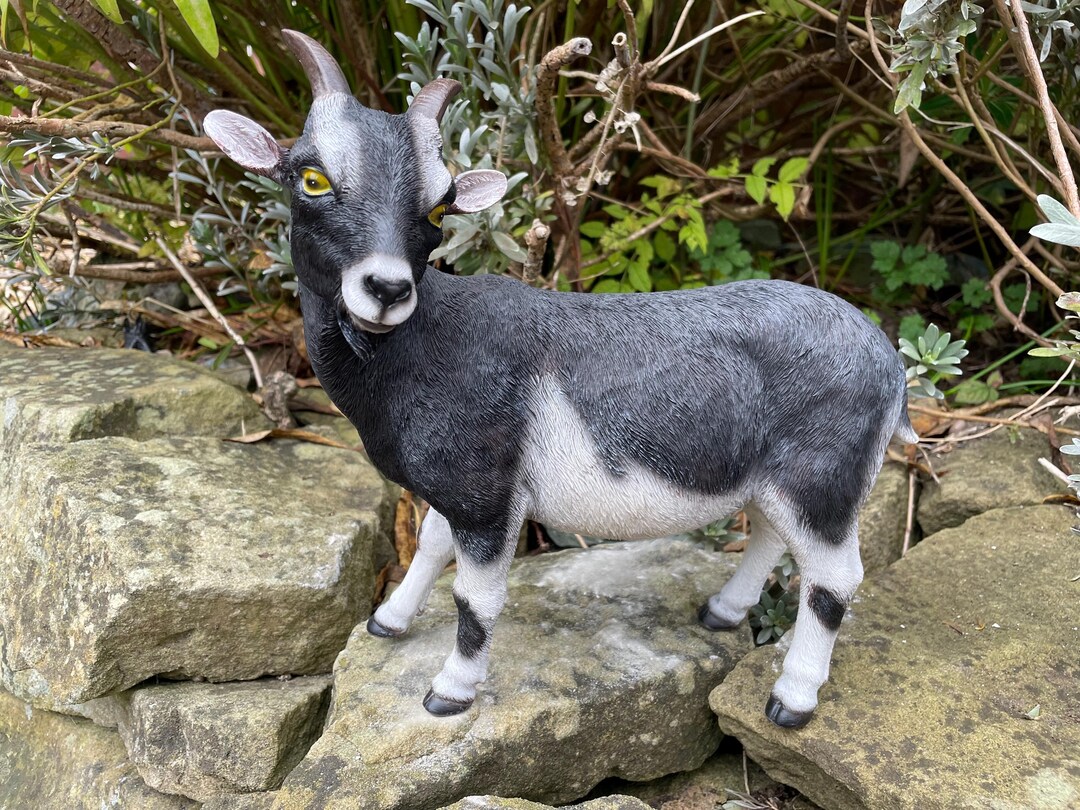 Vivid Arts Real Life Goat Garden Ornament Statue Gift Idea Fast ...