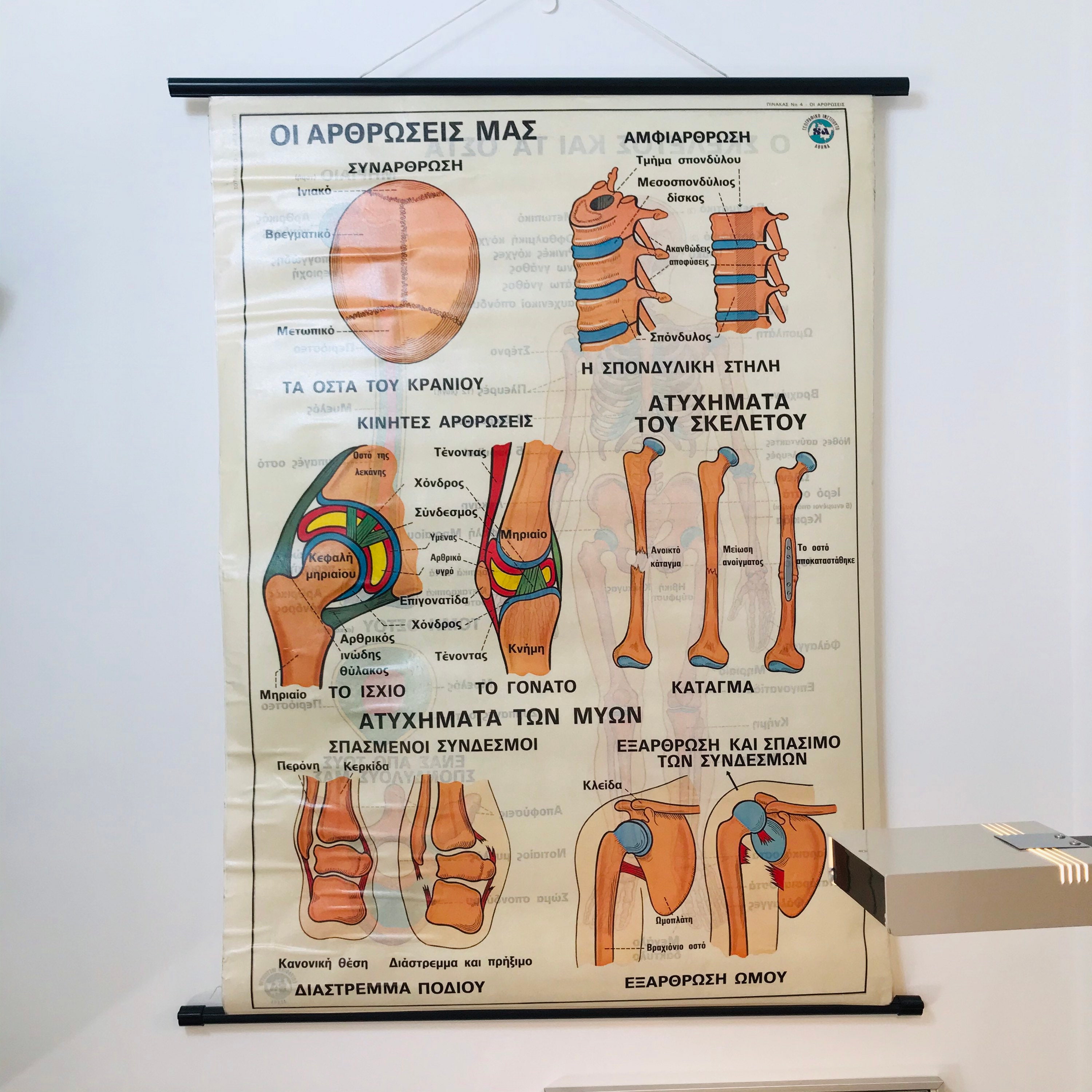 The Skeleton and the Bones Double Sided Old Map School | Etsy