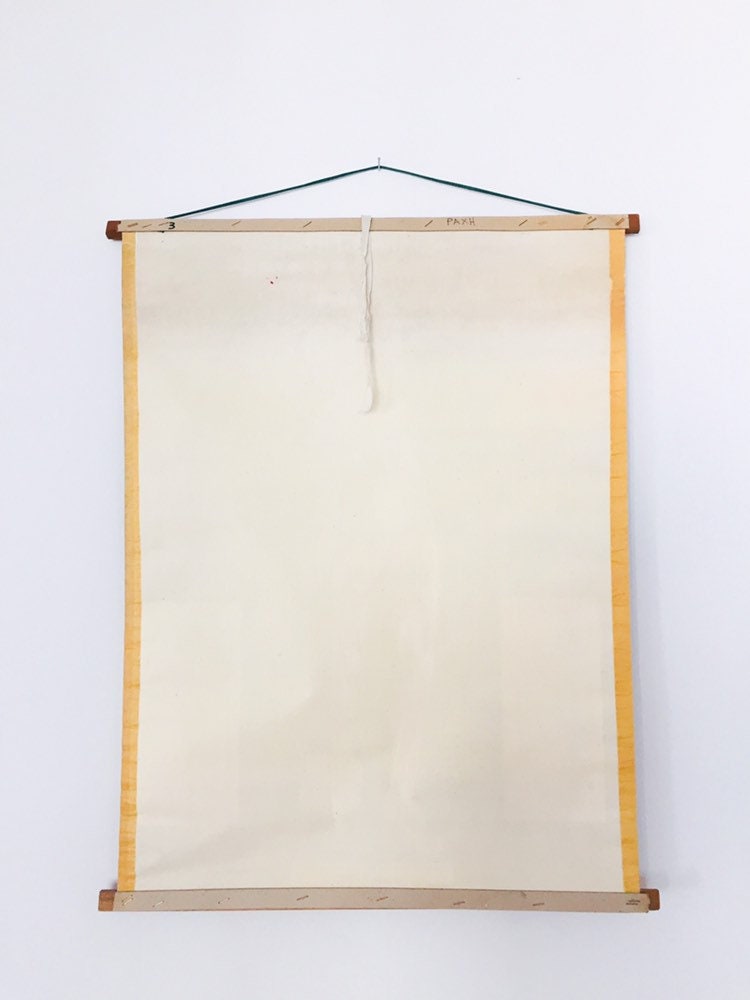 70s Vintage Anatomical Chart-human Muscles Back-school Chart - Etsy