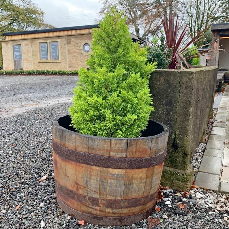 Rustic Reclaimed Oak Whiskey Barrels Sawn in Half From - Etsy