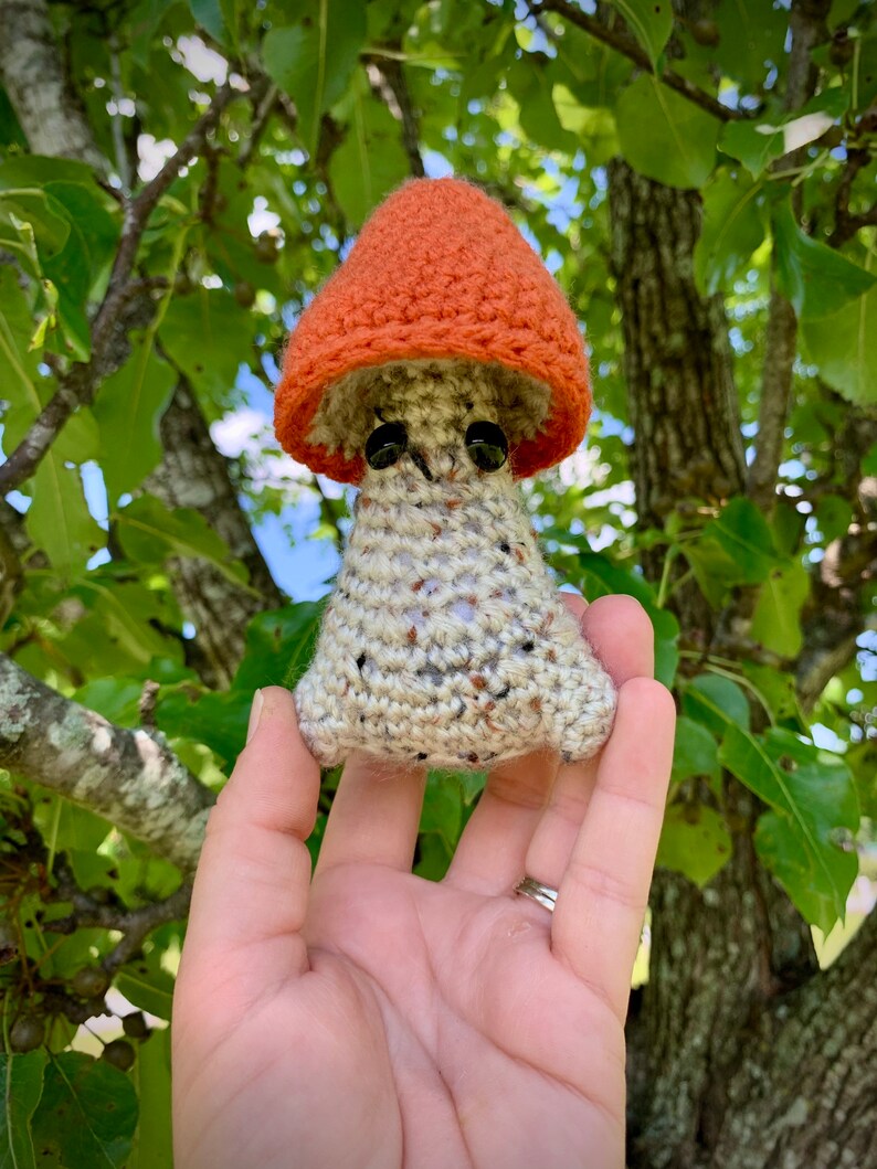 Mushroom Sprites Crochet Fungus Buddies 6 Styles of Fungi - Etsy
