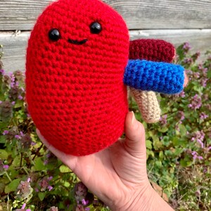 Anatomical Kidney Buddy - Crochet Stuffie - Learning Toy - Made to ...