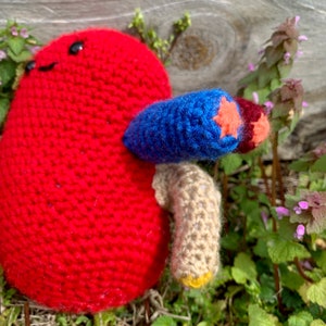 Anatomical Kidney Buddy - Crochet Stuffie - Learning Toy - Made to ...