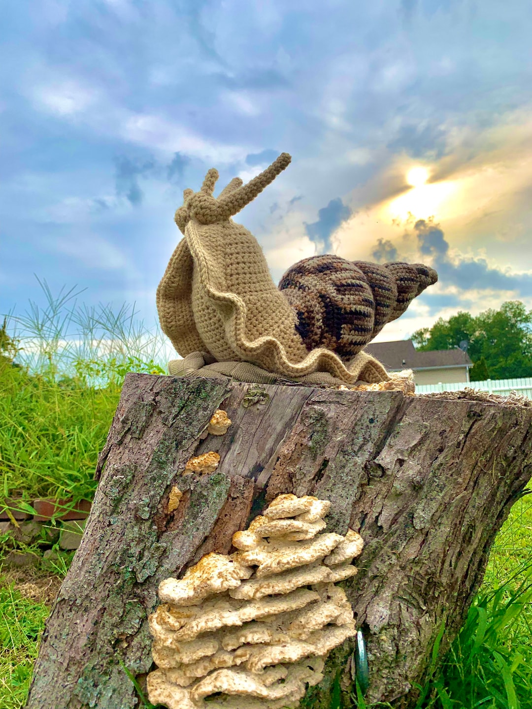 Giant Snail With Spiral Shell - Custom Crochet Snail Stuffie - Extra ...