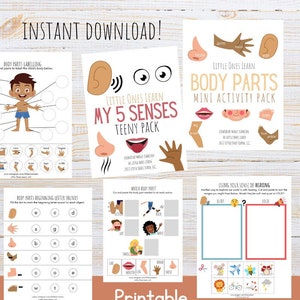 Printable Body Parts and 5 Senses Activities for Kids | Worksheet ...