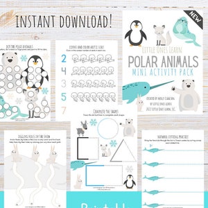 Printable Polar Animals and Arctic Animals Activity Pack Worksheets for ...