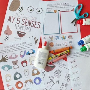 Printable Body Parts and 5 Senses Activities for Kids | Worksheet ...
