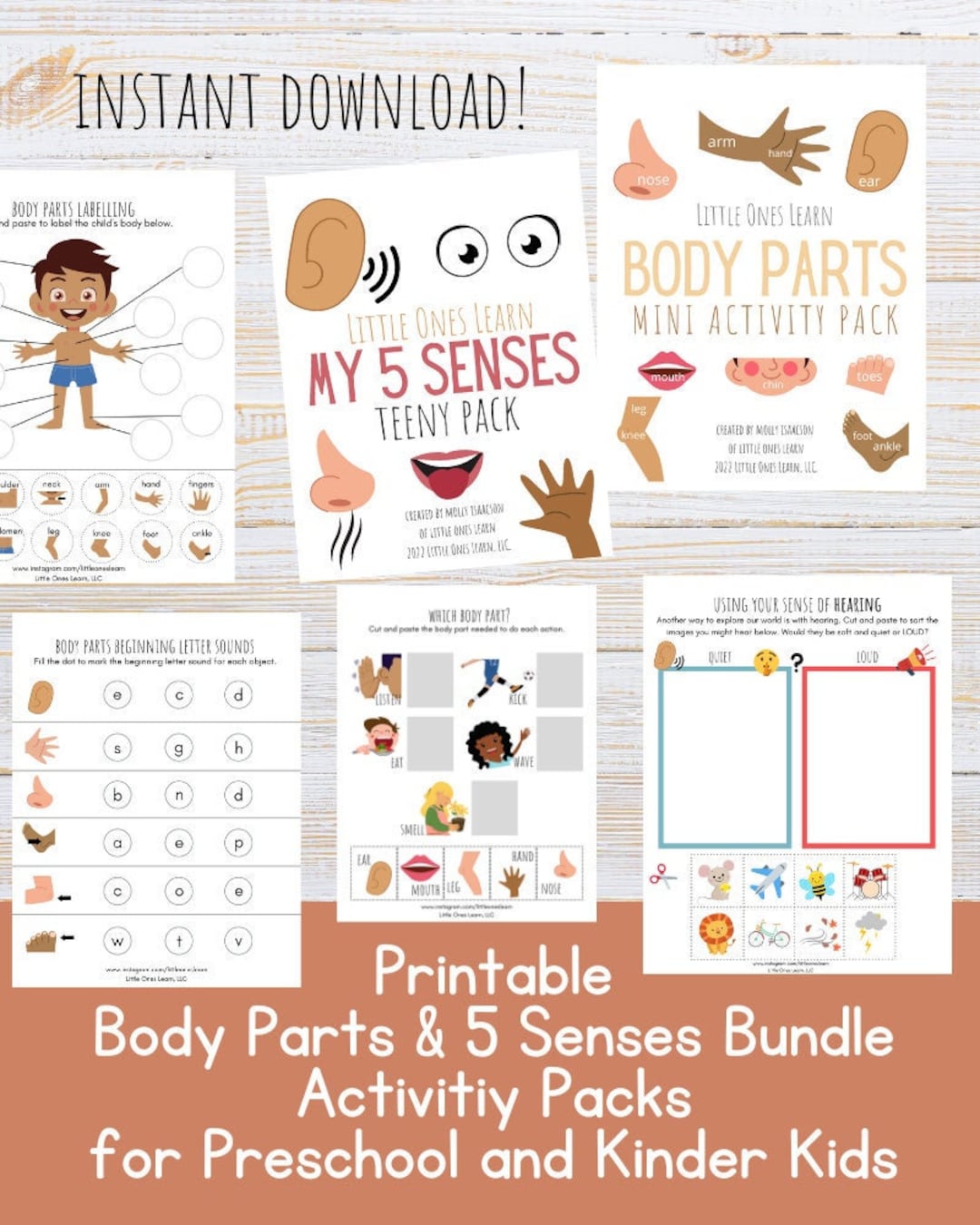 Printable Body Parts and 5 Senses Activities for Kids | Worksheet ...