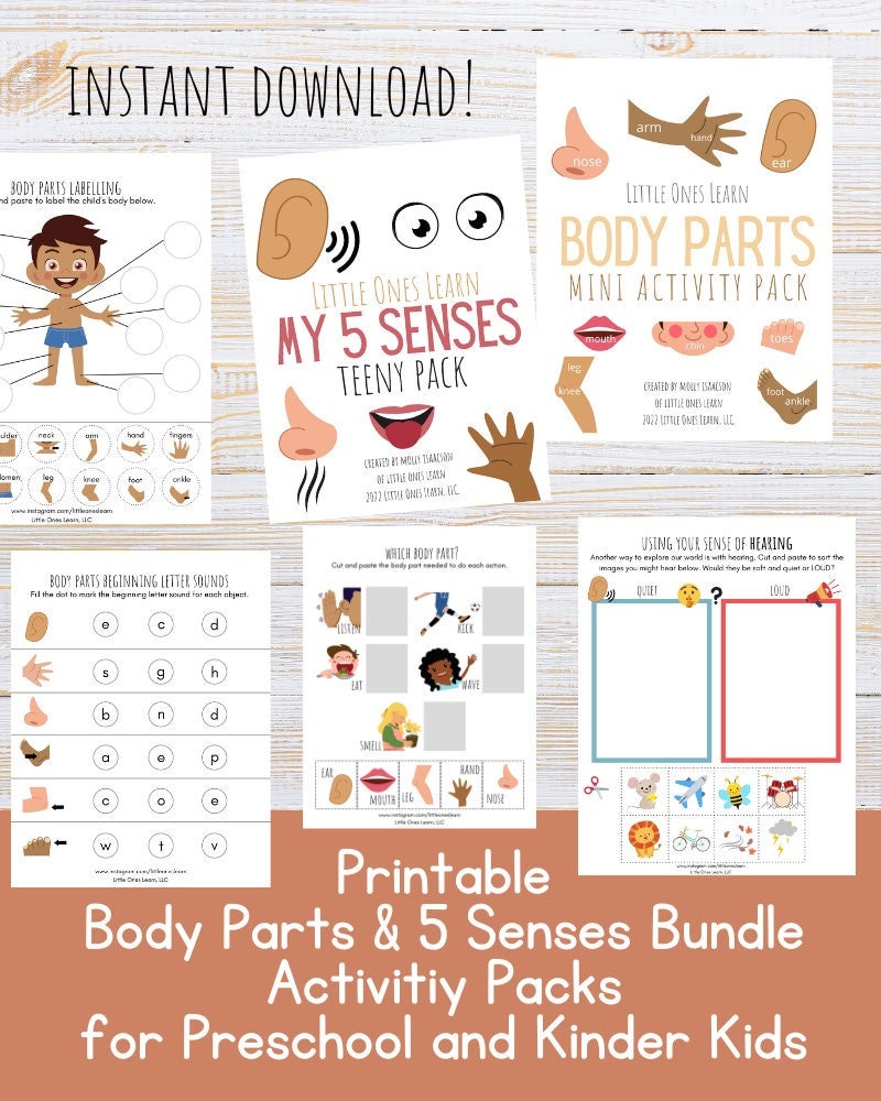 Printable Body Parts and 5 Senses Activities for Kids | Worksheet ...