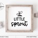 Little Sprout SVG, Baby Svg, Newborn Svg, Baby Outfit Svg, Newborn ...