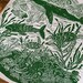 Original Linocut Print ‘sea Life’ - Etsy