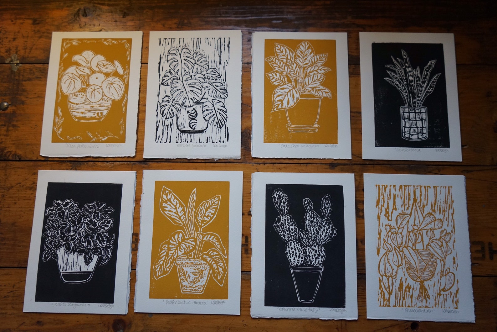 Original Linocut Print pilea Peperomioides Chinese Money | Etsy