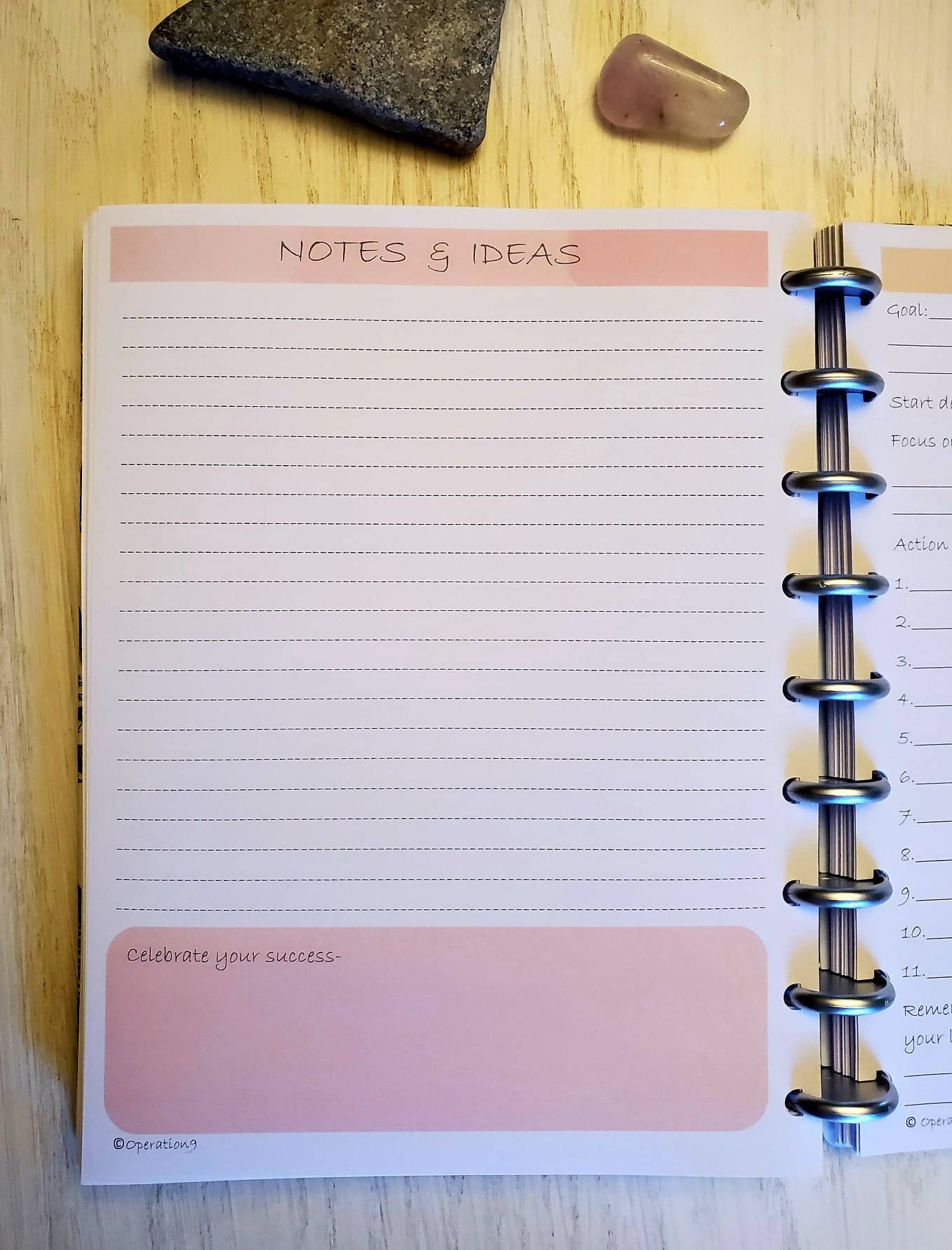 Goal Page for 9 Disc Planner System - Etsy