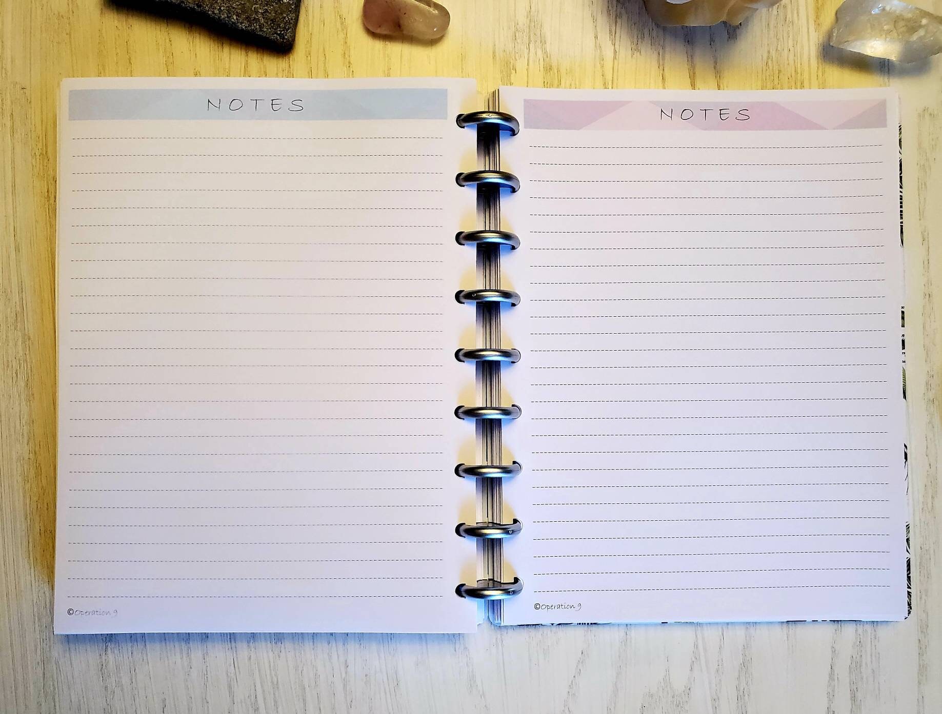 Note Pages for All 9 Disc Planner Systems, Including Happy Planner - Etsy