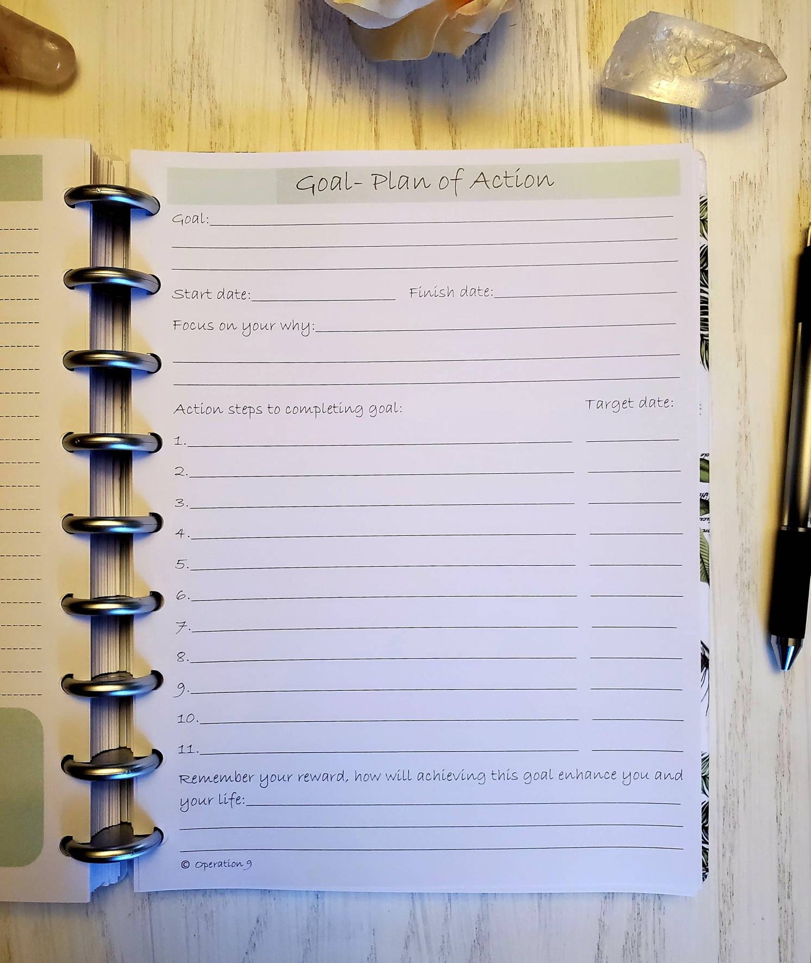 Goal Page for 9 Disc Planner System - Etsy