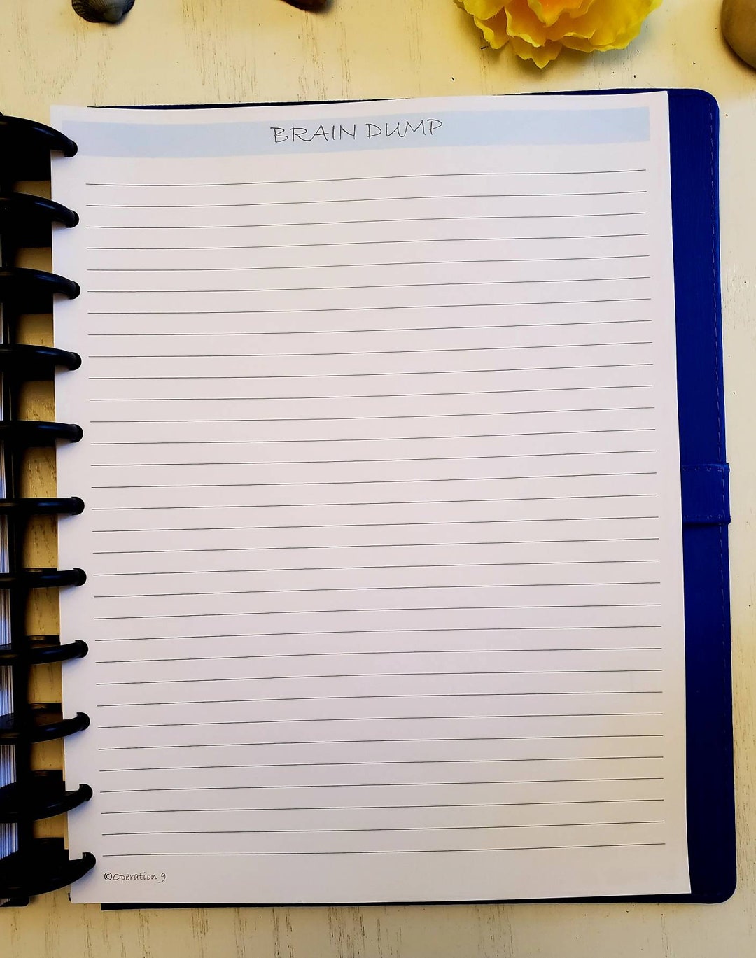 Note Pages for All 11 Disc Planner Systems, Including Tul and Arc - Etsy