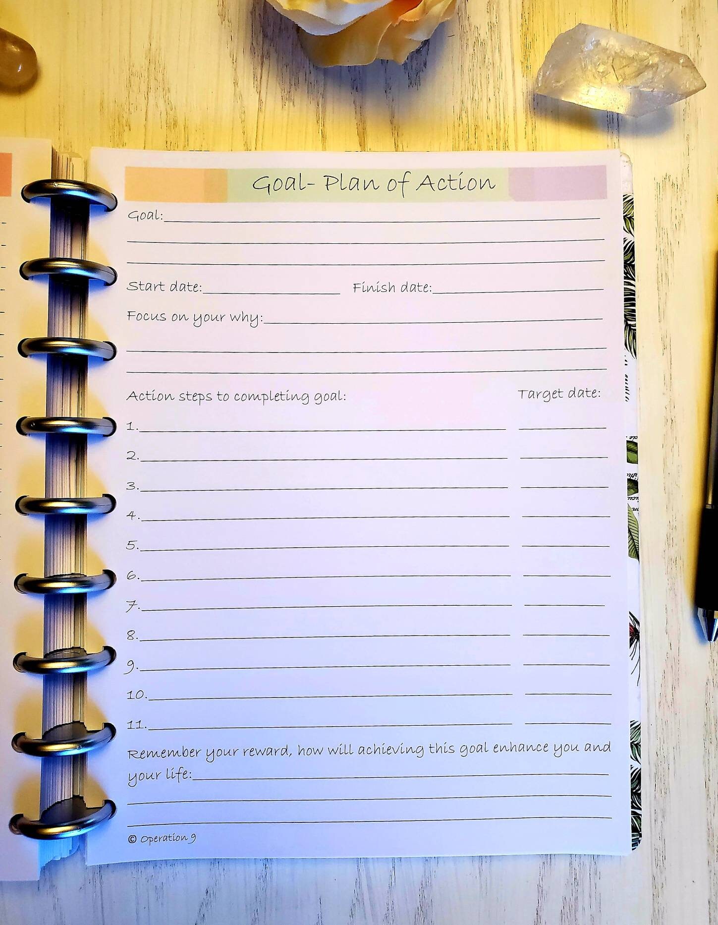 Goal Page for 9 Disc Planner System - Etsy