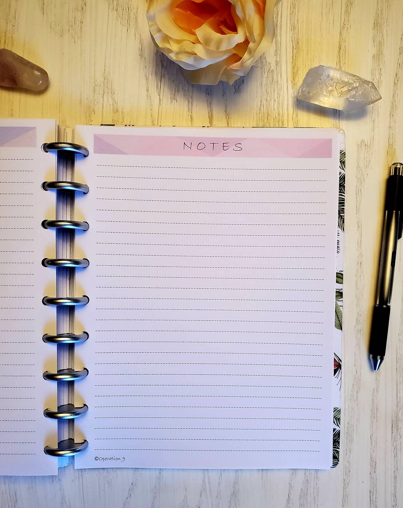 Note Pages for All 9 Disc Planner Systems, Including Happy Planner - Etsy