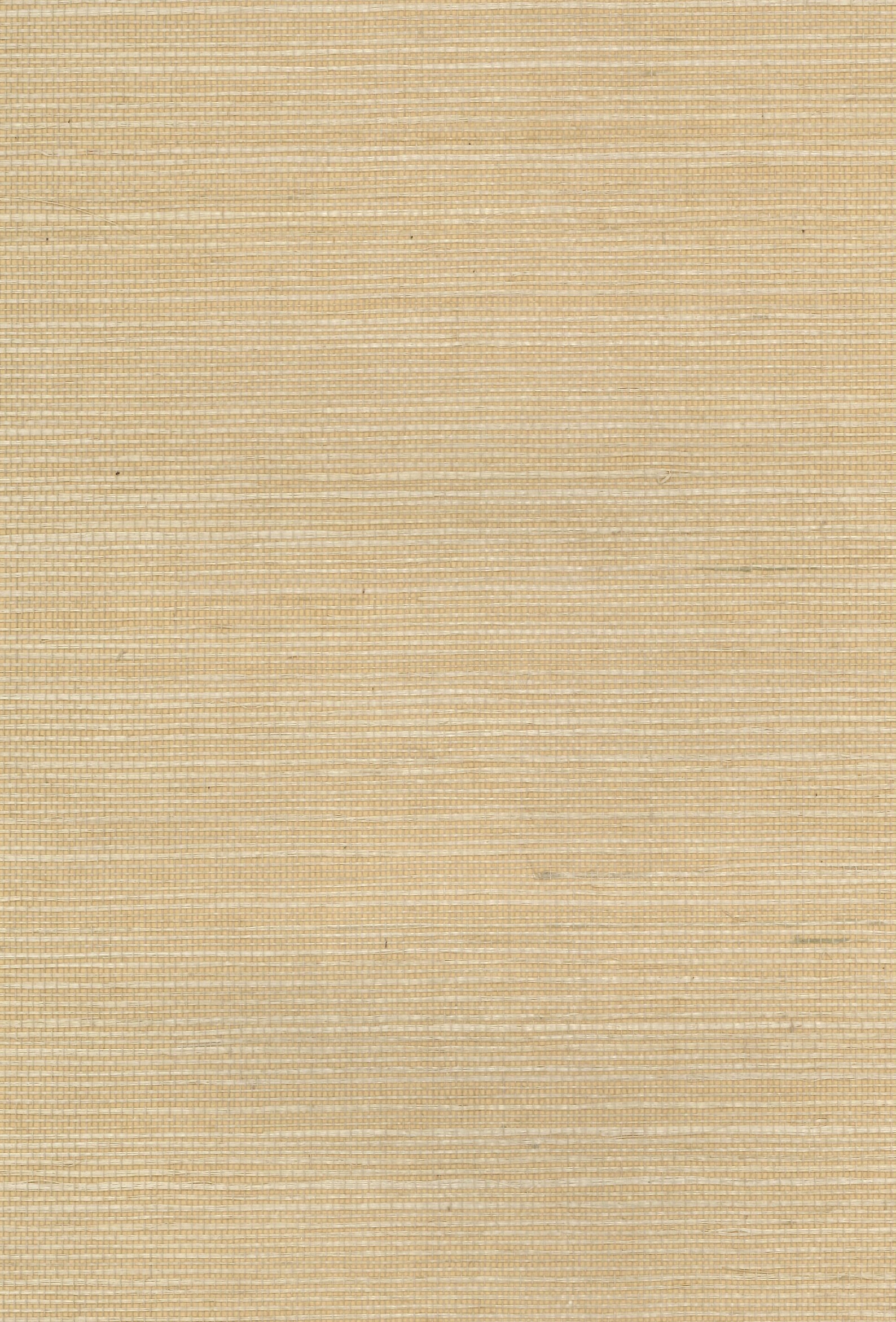 Wallpaper Grasscloth Wallpaper Natural Wallpaper | Etsy