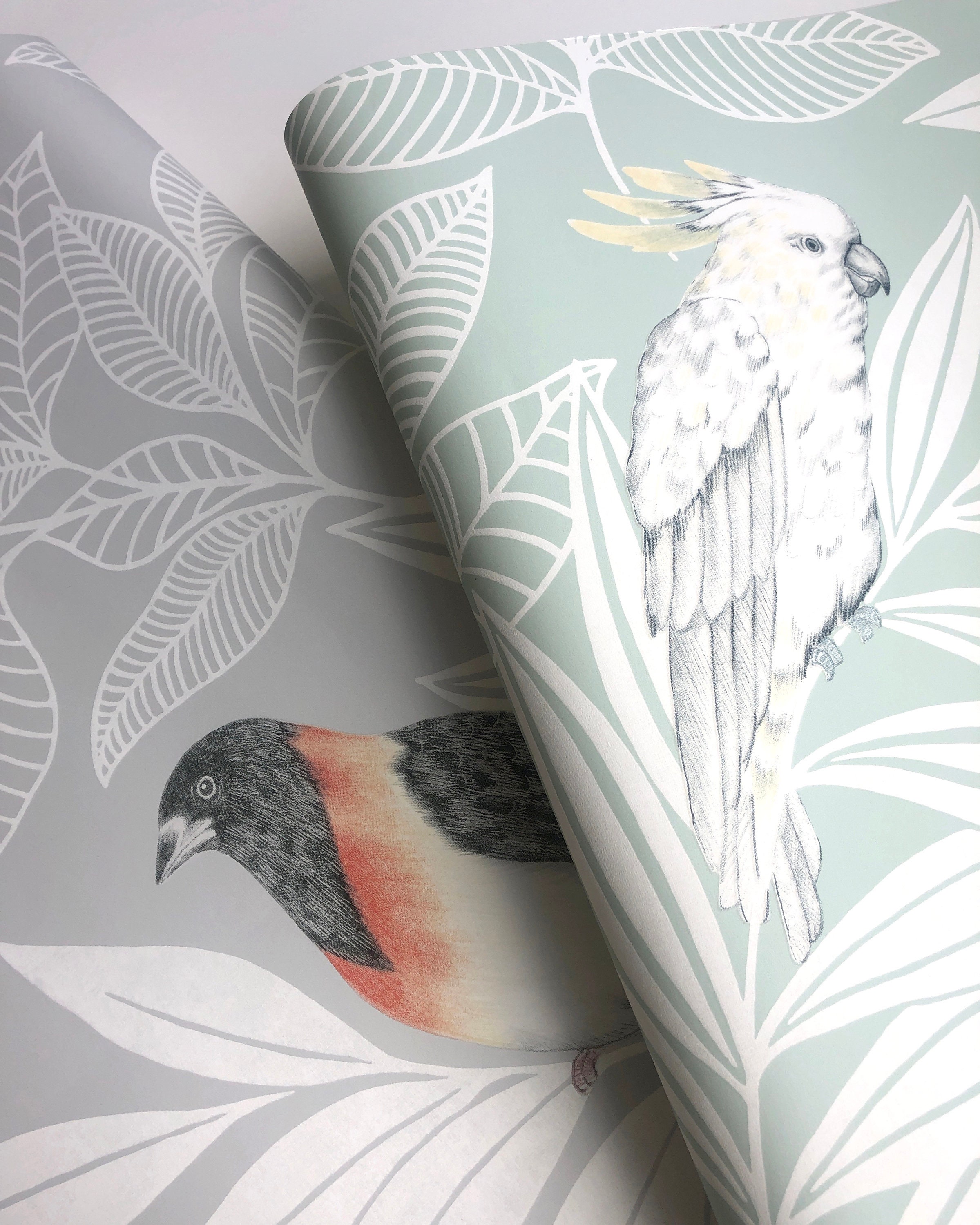 Wallpaper | Bohemian Wallpaper | Boho Wallpaper | Bird Wallpaper ...