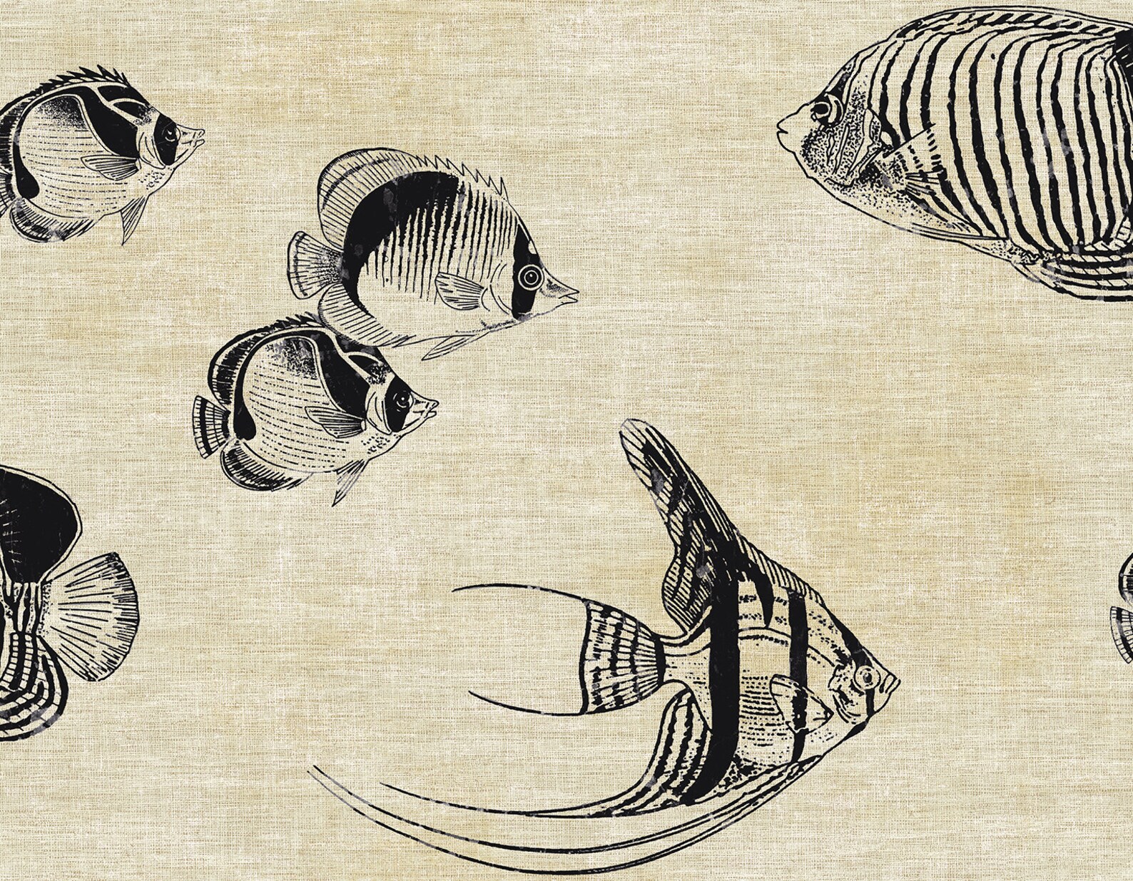 Wallpaper Fish Wallpaper Beach Wallpaper Ocean Wallpaper - Etsy Canada