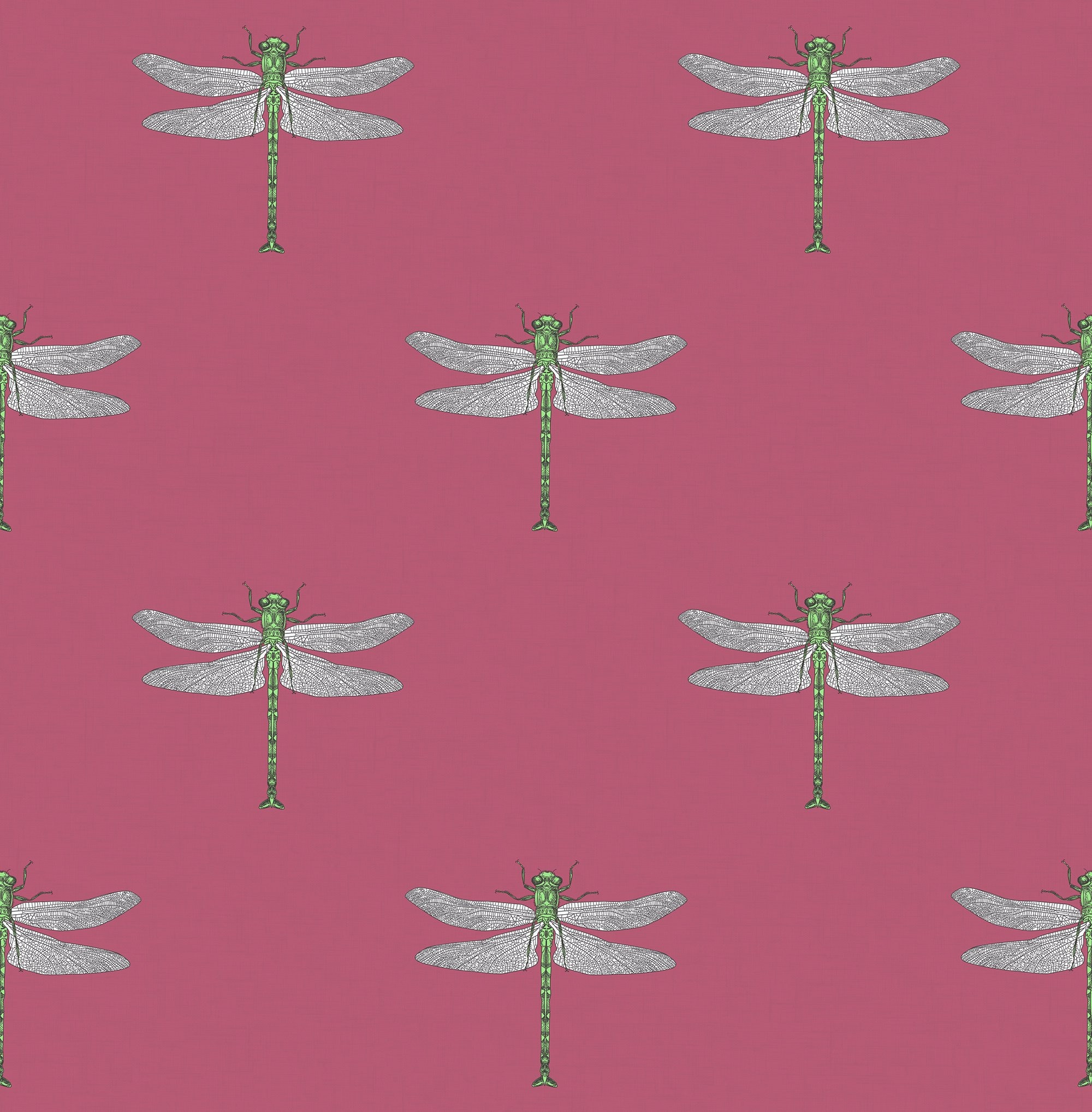 Wallpaper | Metallic Wallpaper | Dragonfly Wallpaper | Insect Wallpaper ...