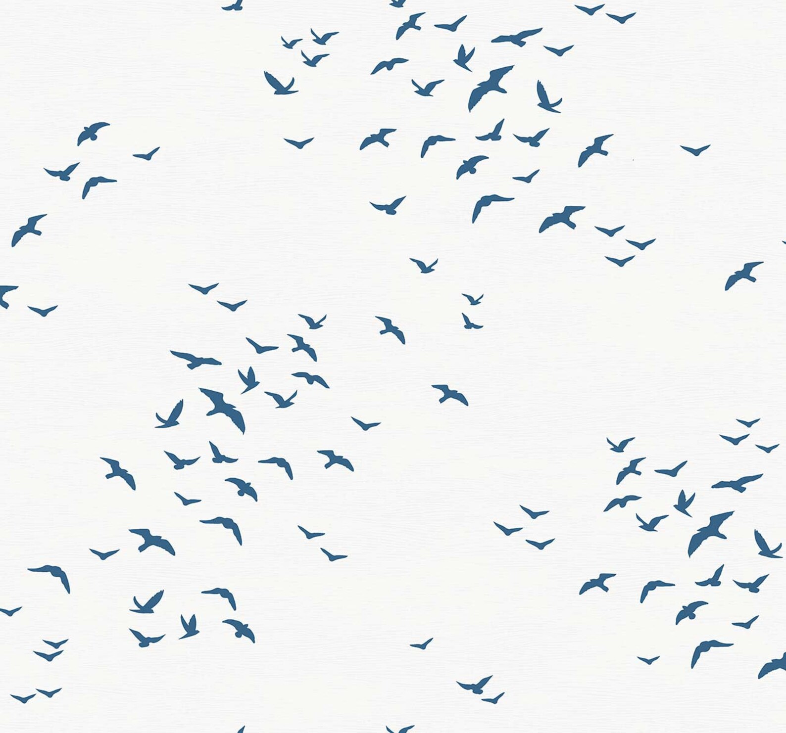 Wallpaper | Bird Wallpaper | Grey Wallpaper | Blue Wallpaper | Beach ...