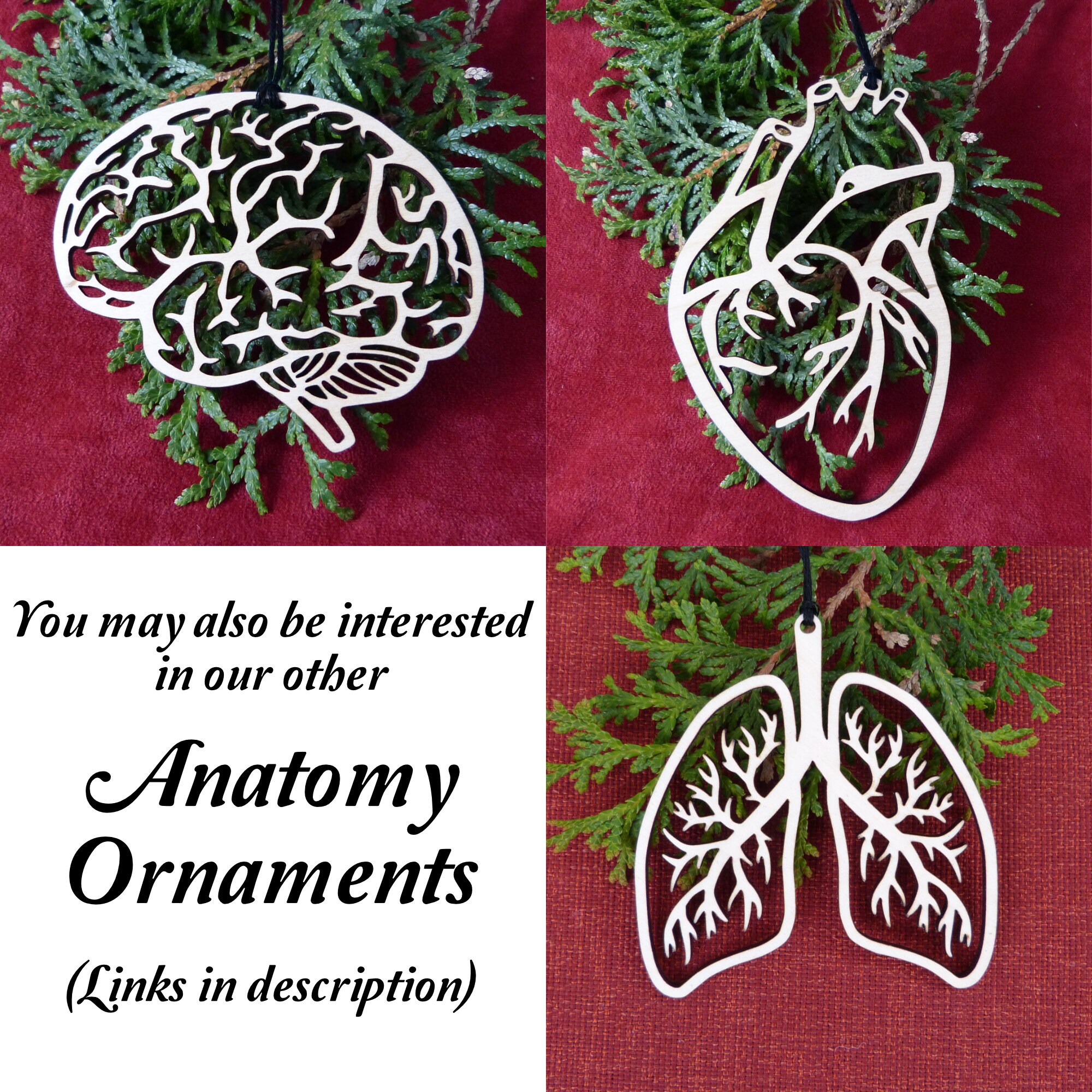 Anatomical Human Breast Ornament Laser Cut Baltic Birch | Etsy